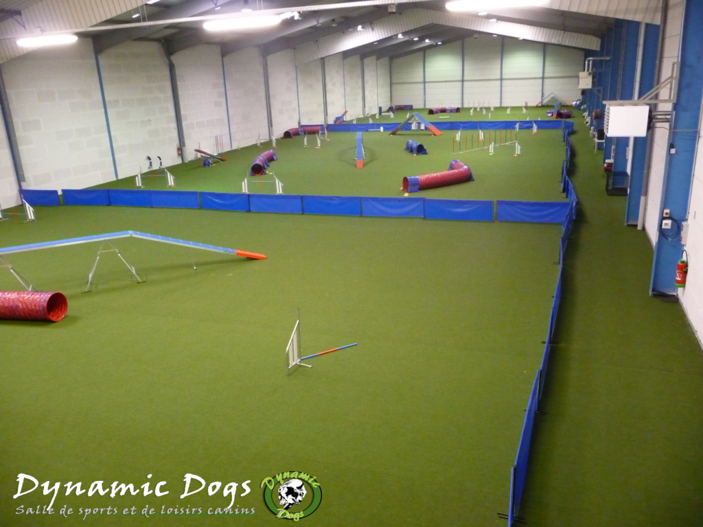 Dynamic Dogs – Salle de sports et de loisirs canins