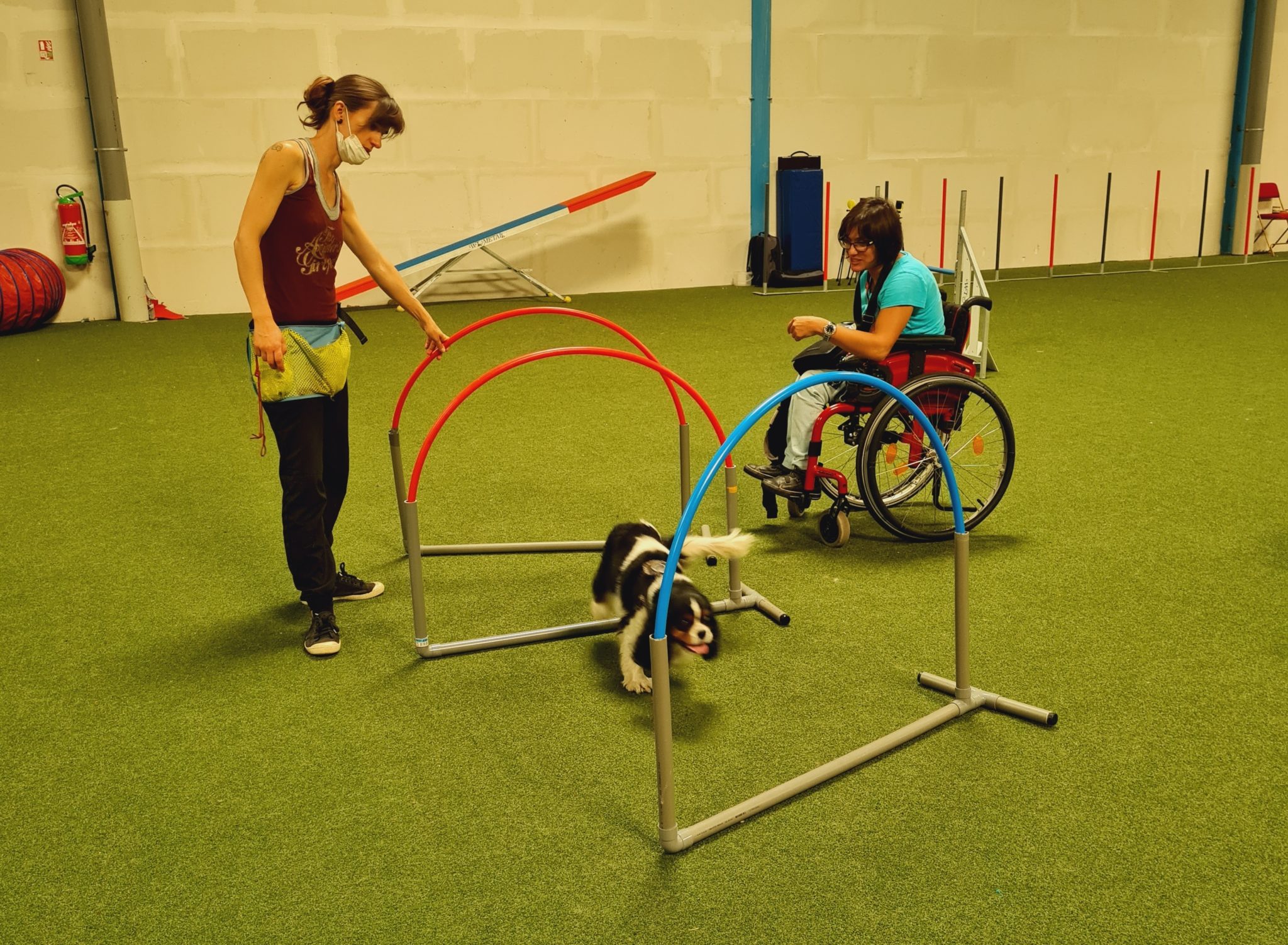 Dynamic Dogs – Salle d'éducation, de sports et de loisirs canins