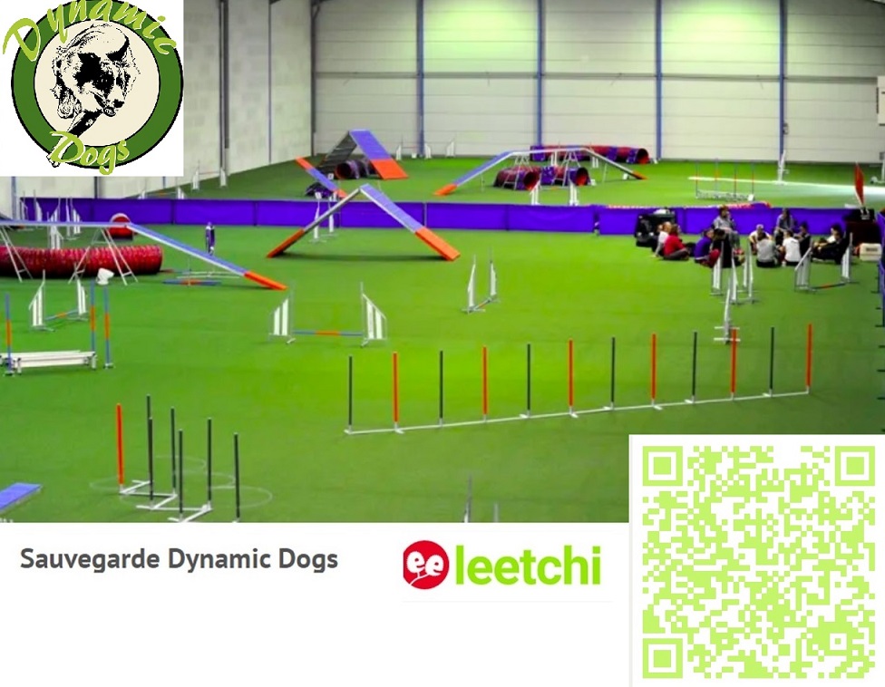 Dynamic Dogs – Salle d'éducation, de sports et de loisirs canins