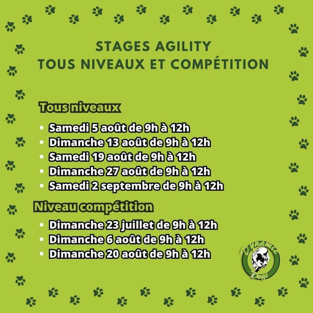 Dynamic Dogs – Salle d'éducation, de sports et de loisirs canins