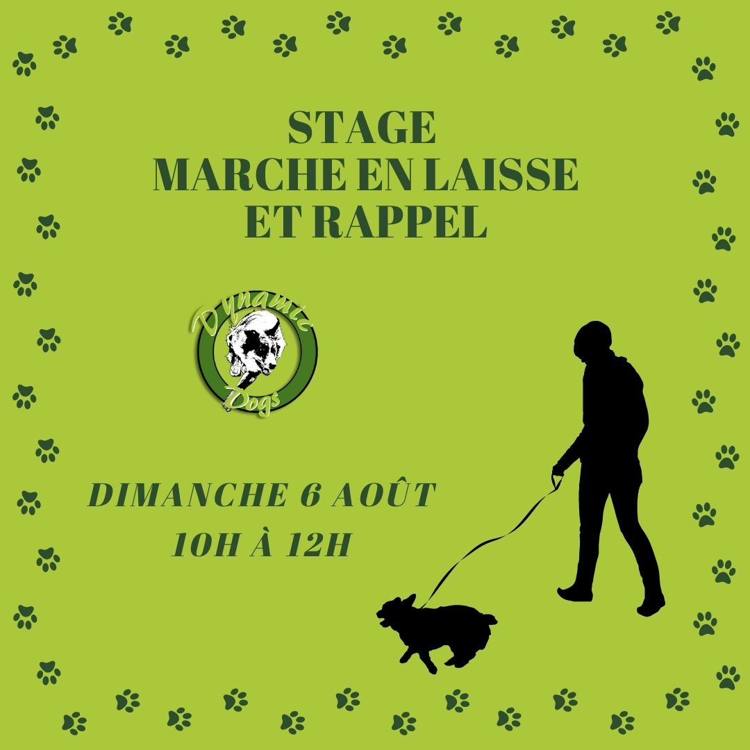 Dynamic Dogs – Salle d'éducation, de sports et de loisirs canins