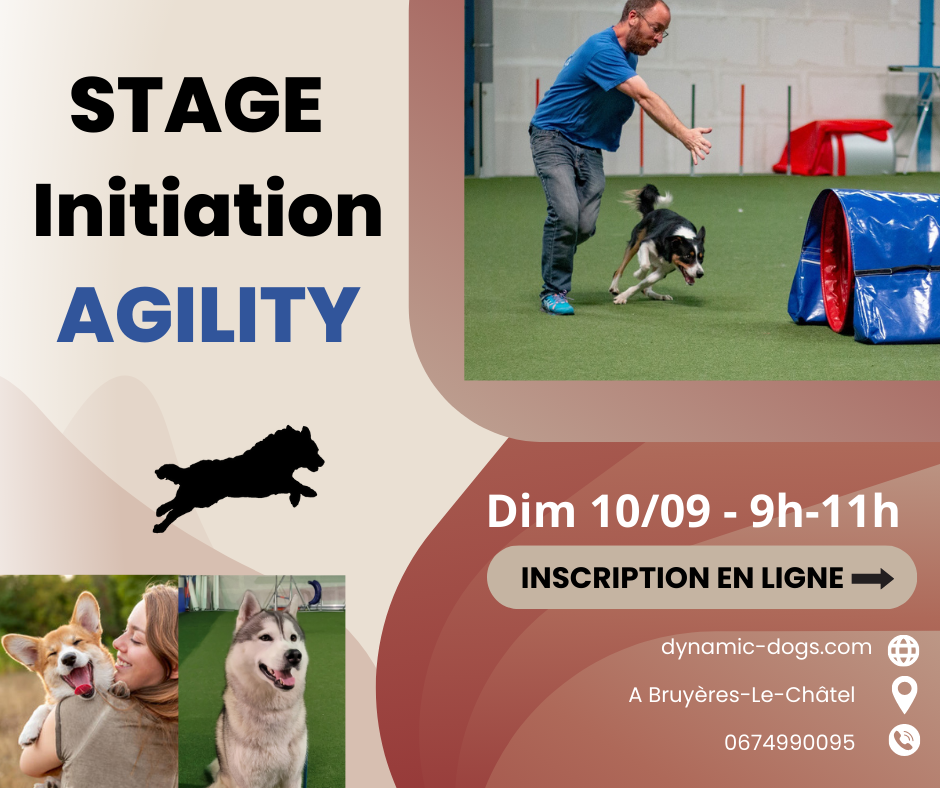 Dynamic Dogs – Salle d'éducation, de sports et de loisirs canins